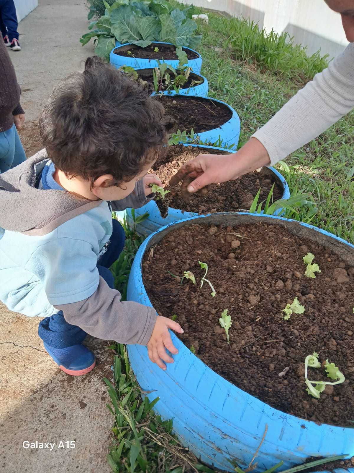 1c1ab082-6206-4c7c-8dcd-dd5aaa7e0f2f – Portal de Sustentabilidade